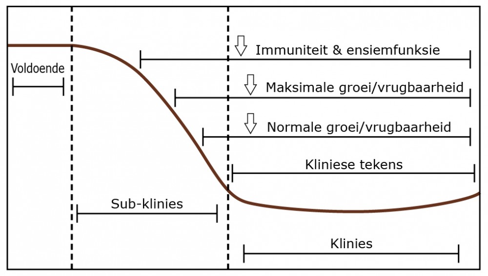 Die rol van spoorminerale in jou kudde
