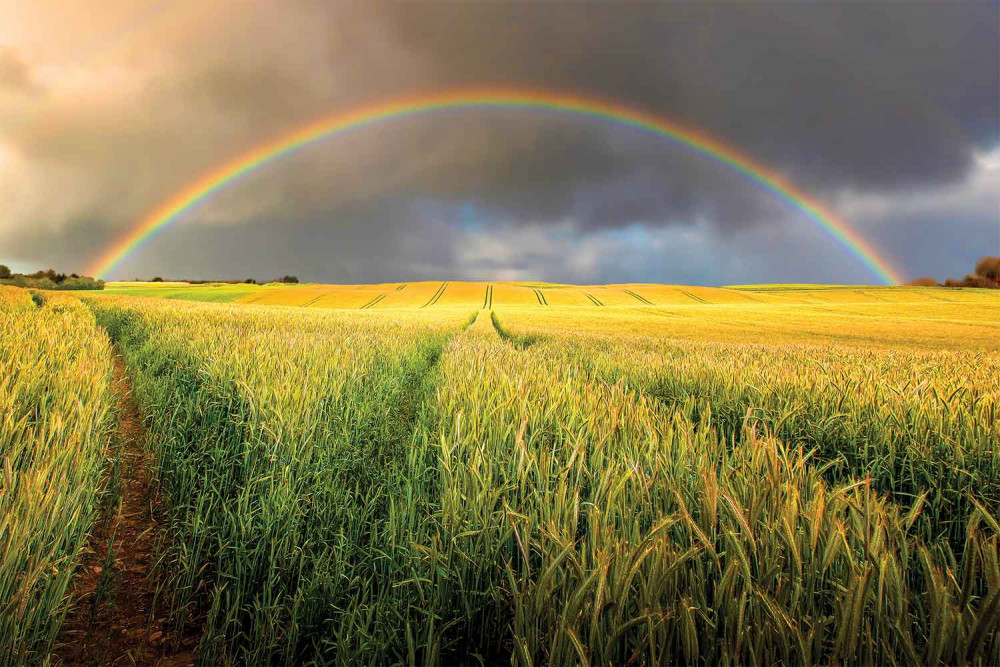 Landbou word ‘n ekonomiese troefkaart