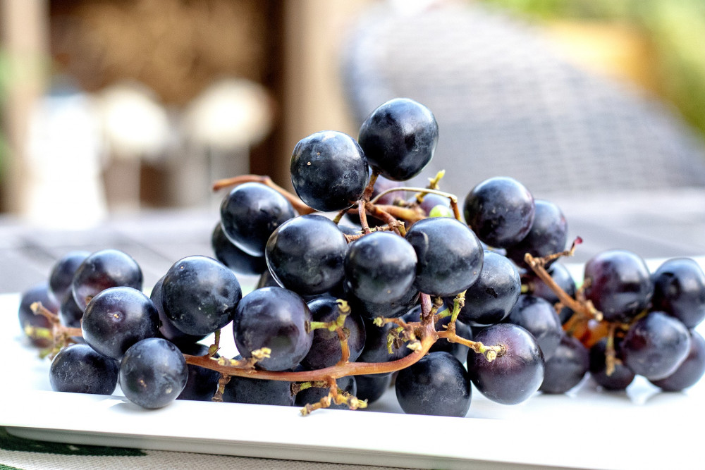 SA table grapes considered a healthy industry that will continue to prosper